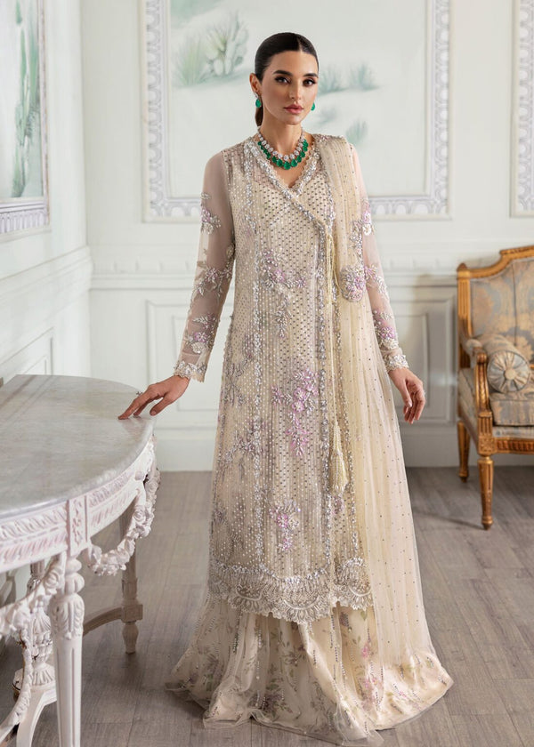 D4 – Nimz Collection